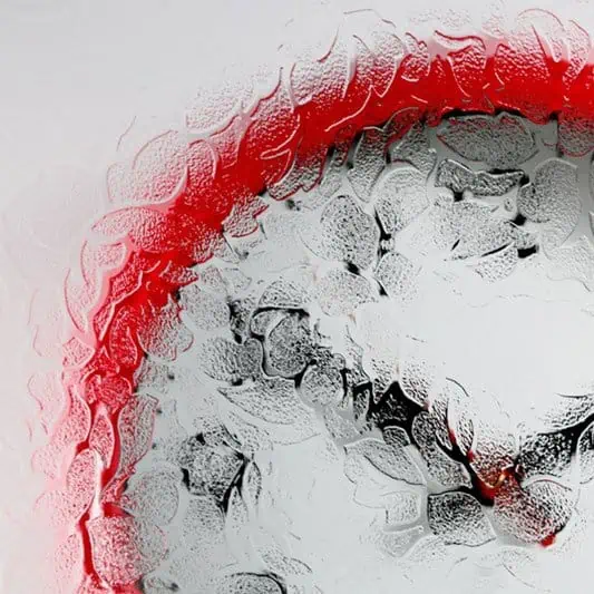 Glazing Styles - Accolade Windows & Conservatories